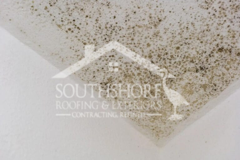 Dead Valley Roof 101: Common Causes and Effective Solutions